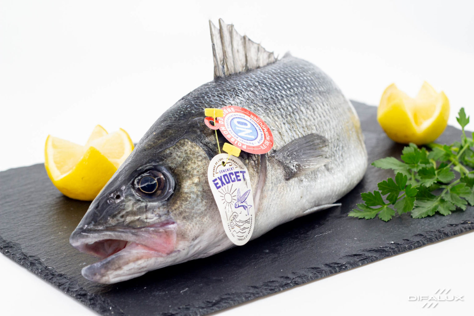 Bar de ligne sauvage – Difalux Namur