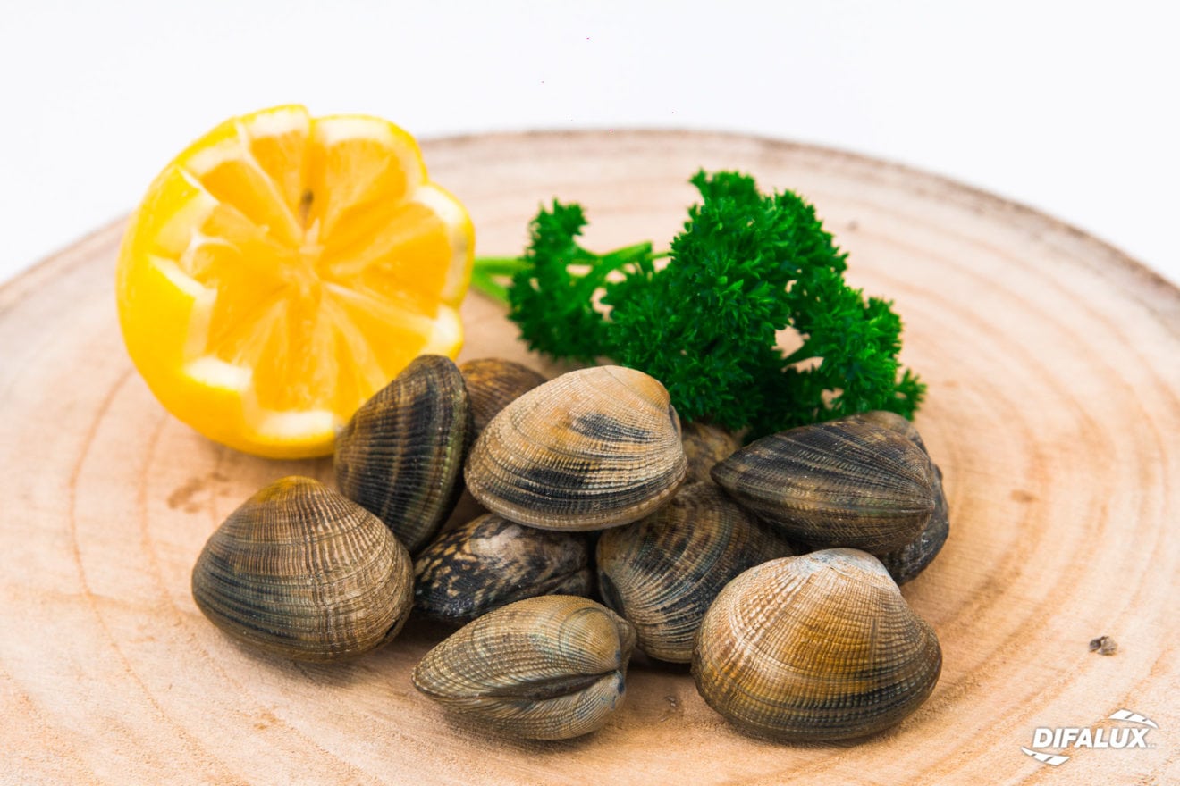 Palourdes – Difalux Namur