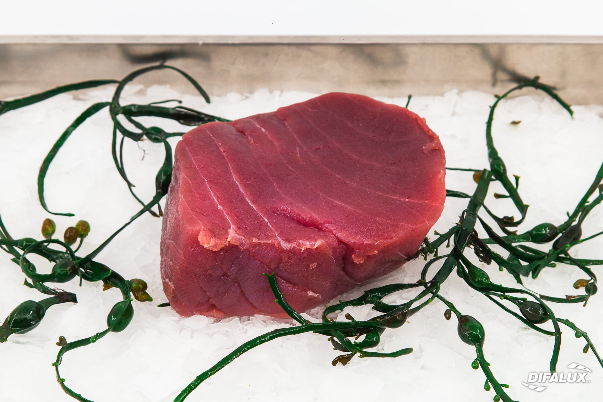 Thon rouge – Difalux Namur