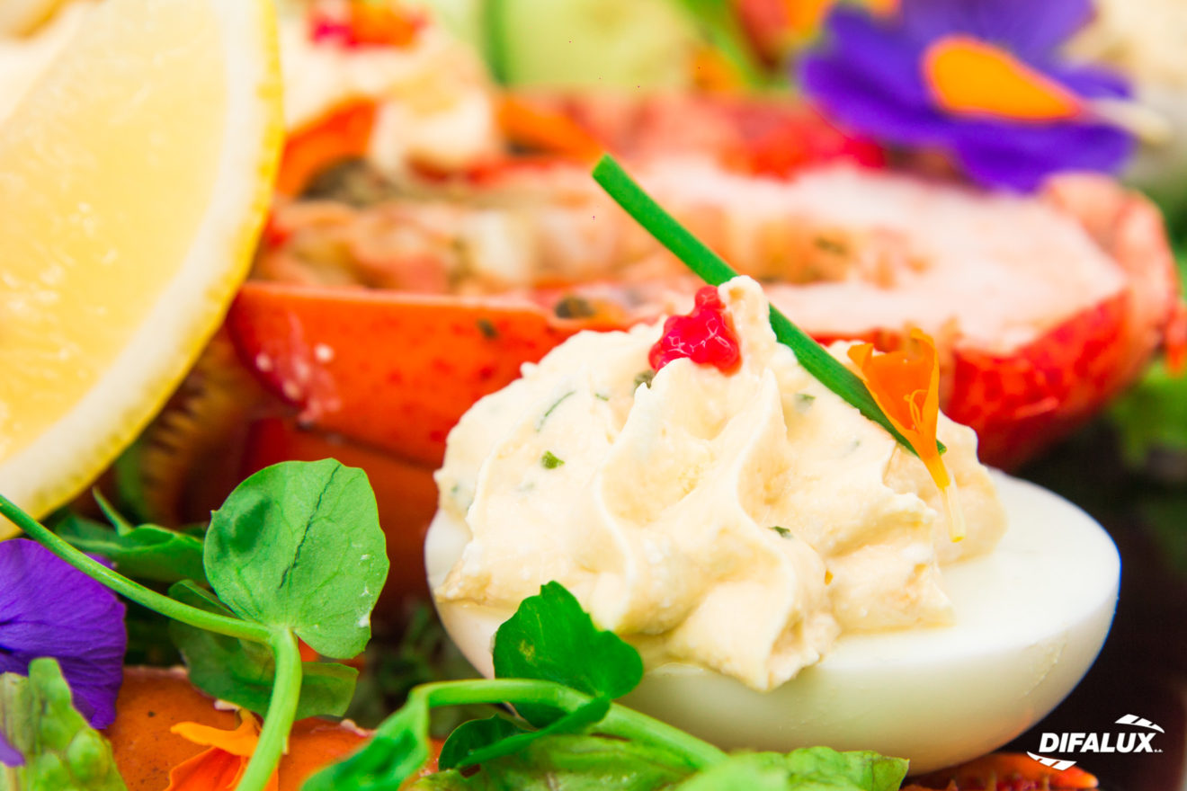 Demi-homard en Bellevue – Difalux Namur