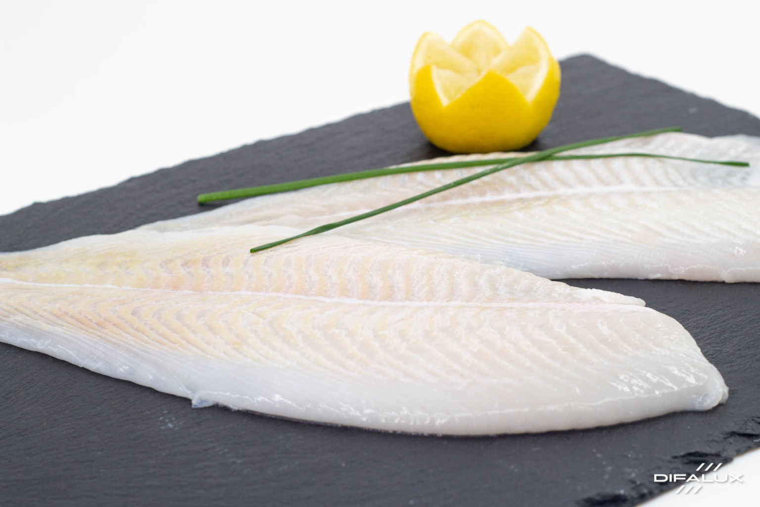 Filet de plie – Difalux Namur