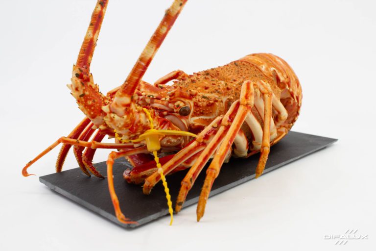 Homards et langoustes – Difalux Namur
