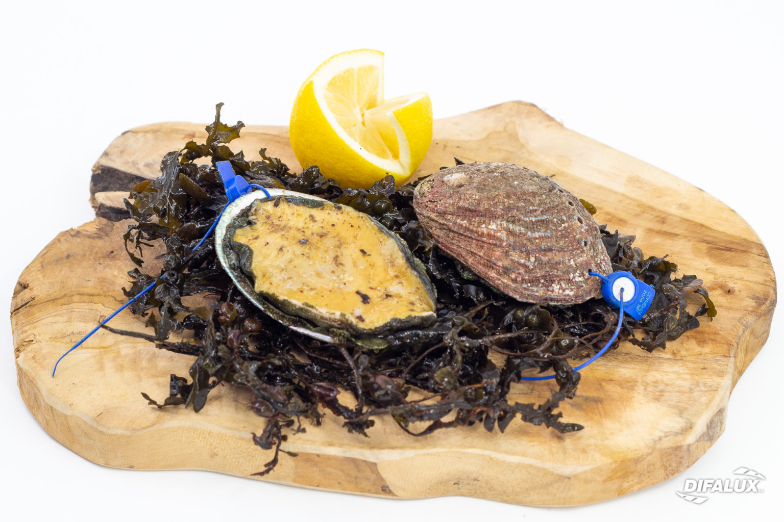 Ormeaux bretons – Difalux Namur