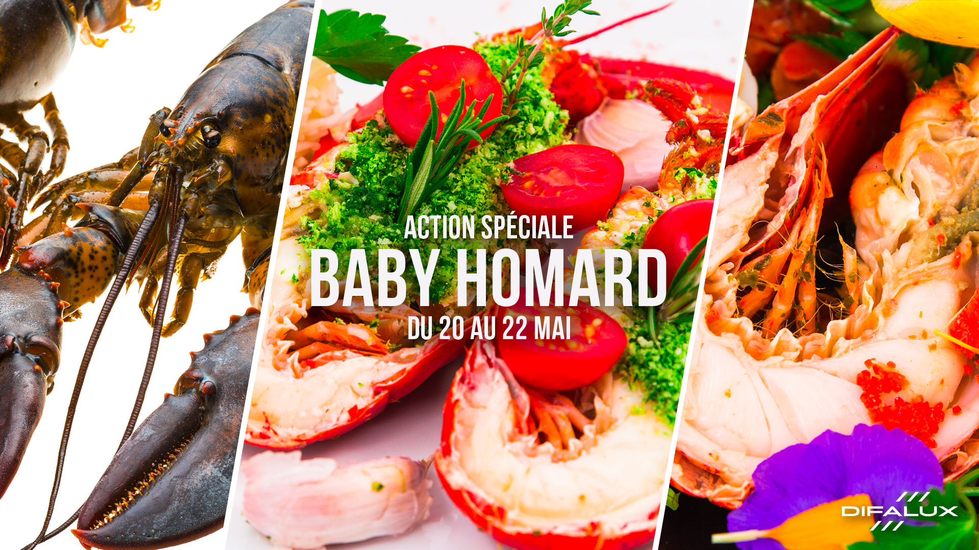 Difalux Namur – Produit frais – Poissonnerie – Traiteur depuis 1978