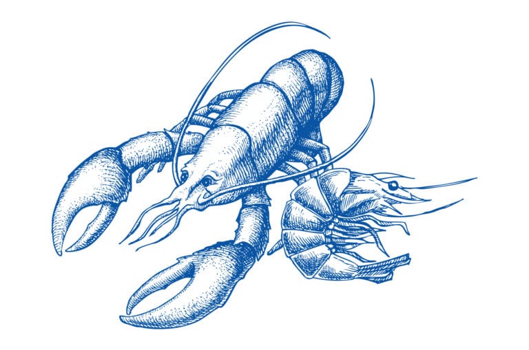 Difalux Namur – Produit frais – Poissonnerie – Traiteur depuis 1978