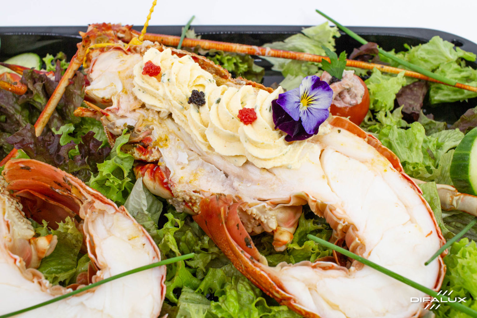 Homards et langoustes – Difalux Namur